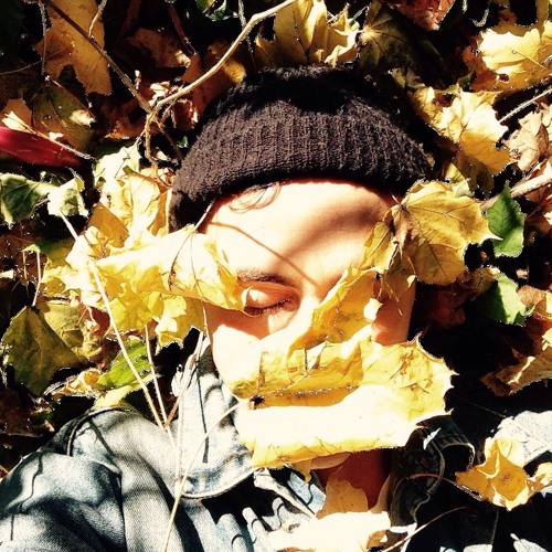 Stream Max Roth music | Listen to songs, albums, playlists for free on ...