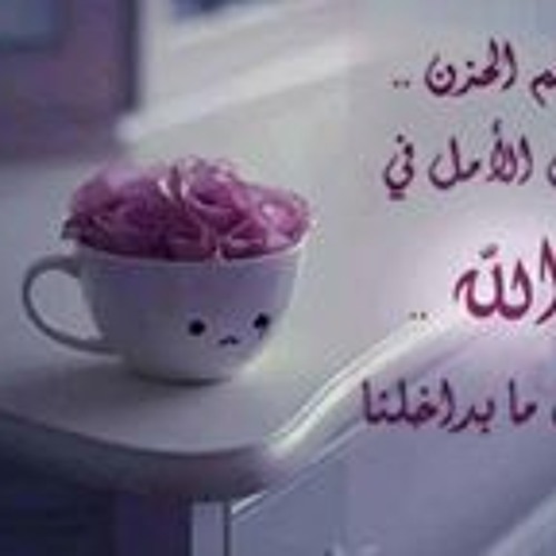 Stream Heba Fekry music | Listen to songs, albums, playlists for free ...