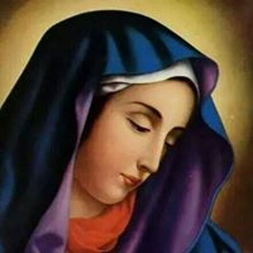 Stream Sameh Saeed music | Listen to songs, albums, playlists for free ...