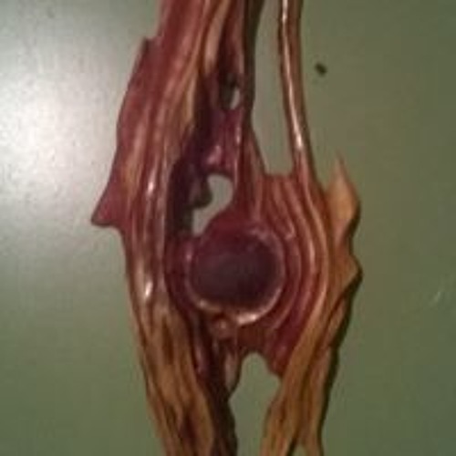 Stream Travis Boyle music | Listen to songs, albums, playlists for free ...