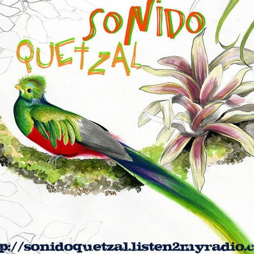 Stream Sonido Quetzal Oficial music | Listen to songs, albums ...
