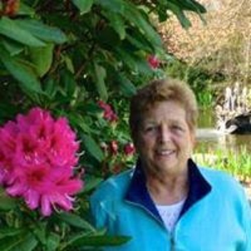 Stream Denise Bertrand Frappier music | Listen to songs, albums ...