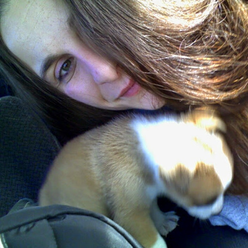 Stream michelle bevers music | Listen to songs, albums, playlists for ...