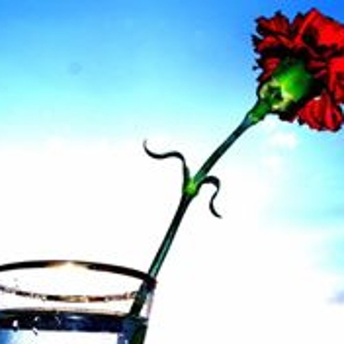 Stream Hugo Subtil Freitas music | Listen to songs, albums, playlists ...