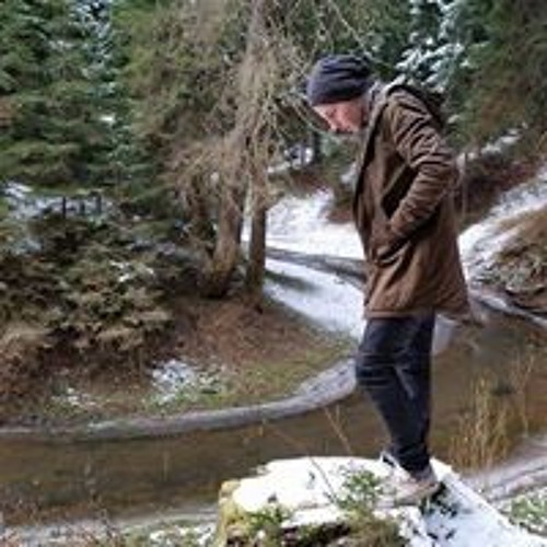 Stream Haris Rizvic music | Listen to songs, albums, playlists for free ...