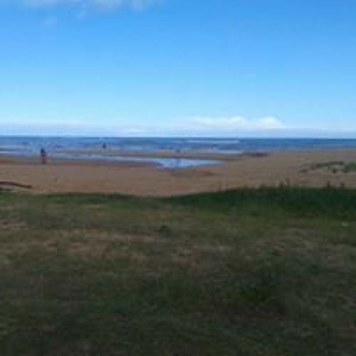 Stream Fernanda Costa music | Listen to songs, albums, playlists for ...