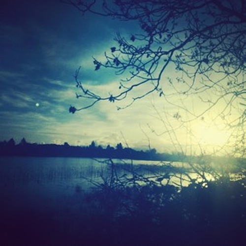 Stream elinnewillems music | Listen to songs, albums, playlists for ...