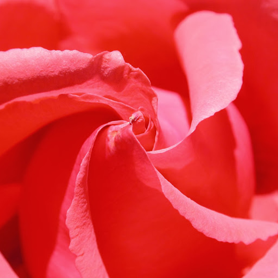 Stream Bruce Alexander music | Listen to songs, albums, playlists for ...