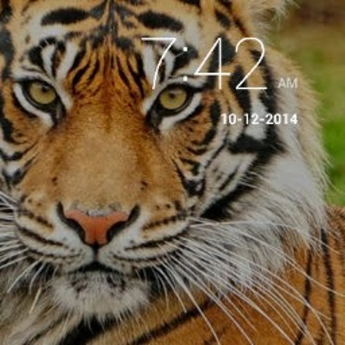 Stream Amanda Dunn music | Listen to songs, albums, playlists for free ...