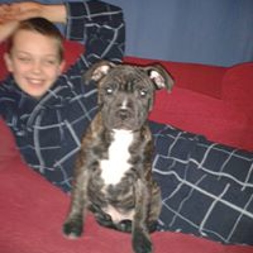 Stream Jamie Lee Makin music | Listen to songs, albums, playlists for ...