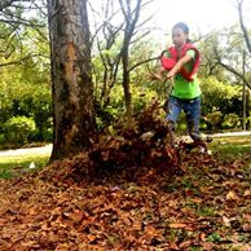 Stream Catherine Roa music | Listen to songs, albums, playlists for ...