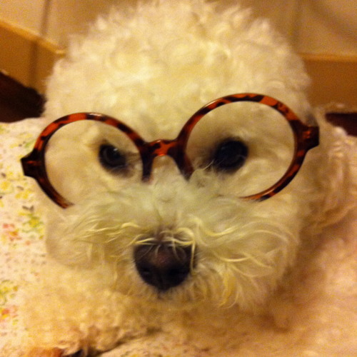 Stream Ingrid Wong music | Listen to songs, albums, playlists for free ...