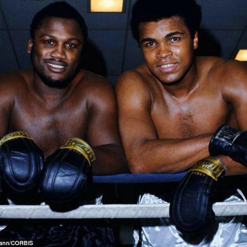 Stream Nima Sahba music | Listen to songs, albums, playlists for free ...