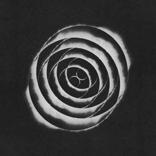 Stream Rakun music | Listen to songs, albums, playlists for free on ...