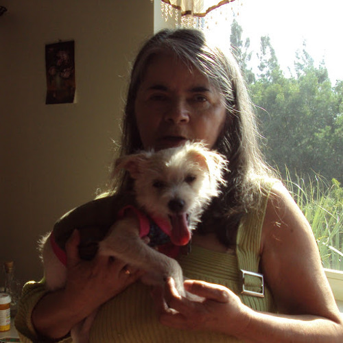 Stream Liz Rojas music | Listen to songs, albums, playlists for free on ...