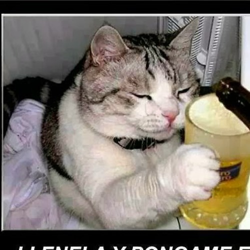 Stream derek rey music | Listen to songs, albums, playlists for free on ...