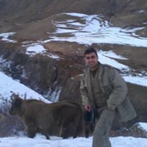 Stream Yousaf Jamal music | Listen to songs, albums, playlists for free ...