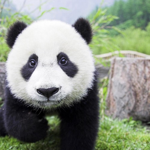 Stream Joshua Mapstone music | Listen to songs, albums, playlists for ...