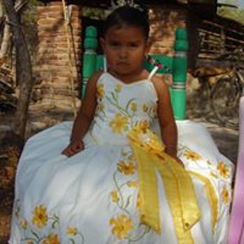 Stream Graciela Botello music | Listen to songs, albums, playlists for ...