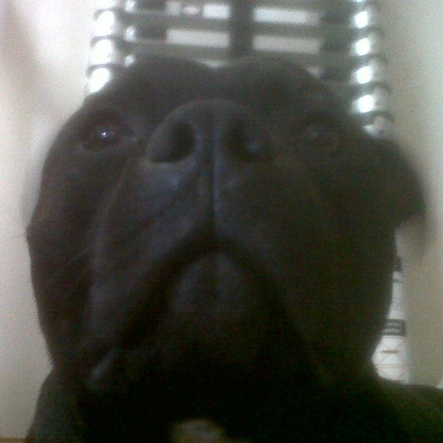 Stream 2k_ceiran music | Listen to songs, albums, playlists for free on ...