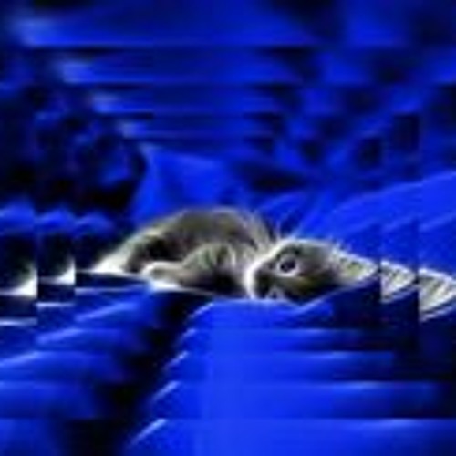 Stream Robert Lecomte music | Listen to songs, albums, playlists for ...