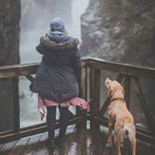 Stream Mero Maklad music | Listen to songs, albums, playlists for free ...