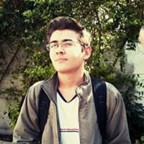 Stream Rodolfo Andrade Miani music | Listen to songs, albums, playlists ...