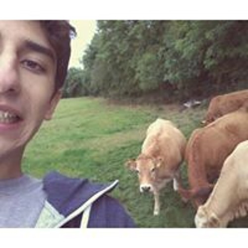 Stream Federico Pupilli music | Listen to songs, albums, playlists for free on SoundCloud