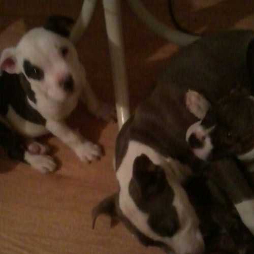 Stream gizal music | Listen to songs, albums, playlists for free on ...