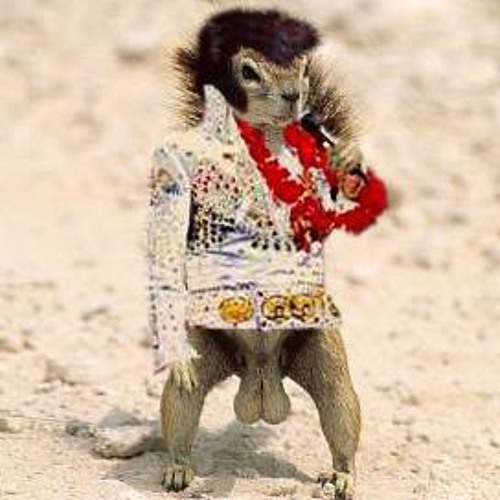 Stream Harry Bawls music | Listen to songs, albums, playlists for free ...