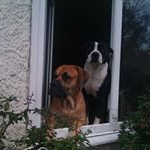 Stream Aj Dunne music | Listen to songs, albums, playlists for free on ...