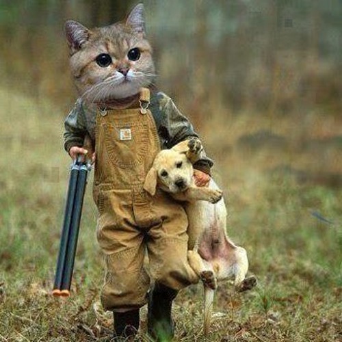 Stream supreet brar music | Listen to songs, albums, playlists for free on SoundCloud