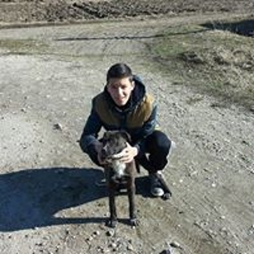 Stream Alx Alexutzu music | Listen to songs, albums, playlists for free ...