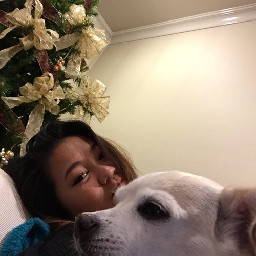 Stream Jeanette Nguyen 1 music | Listen to songs, albums, playlists for ...