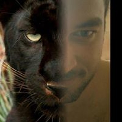 Stream Nikola Dali Tanic music | Listen to songs, albums, playlists for ...