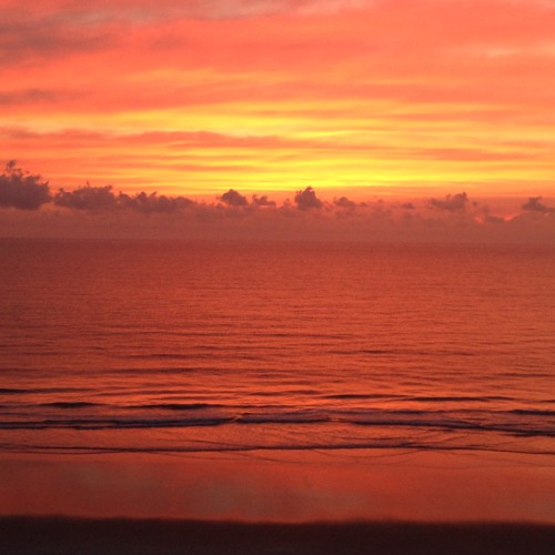 Stream Jake Schans music | Listen to songs, albums, playlists for free ...