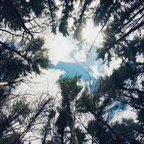 Stream Ne Yo Sexy Love Phil Gerus Remix By Aj Feltis Listen