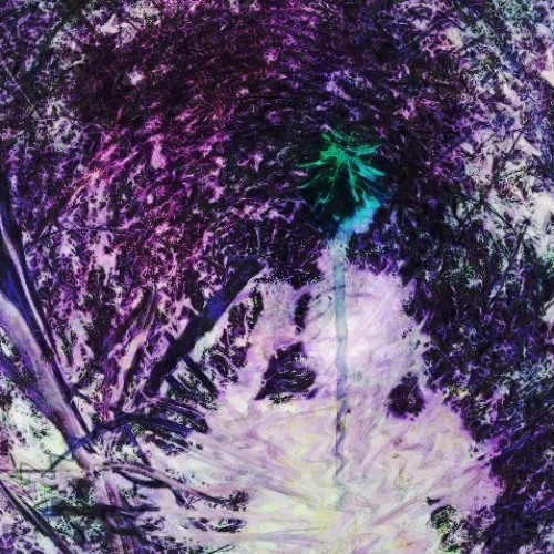 Stream canicular days music | Listen to songs, albums, playlists for ...