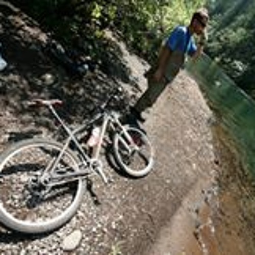 Stream Tim Cannard music | Listen to songs, albums, playlists for free ...