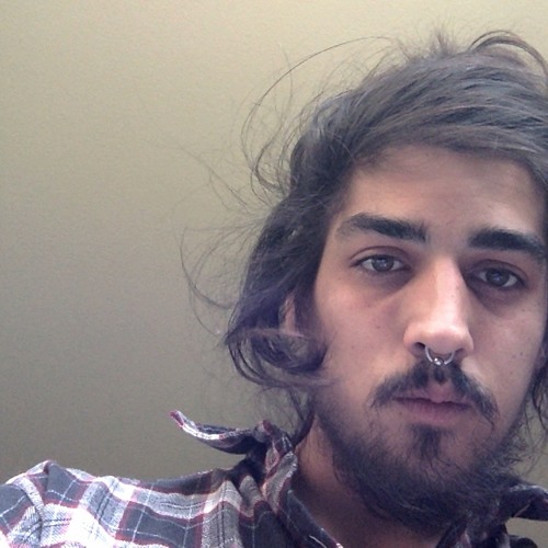 Stream feral forager music | Listen to songs, albums, playlists for ...