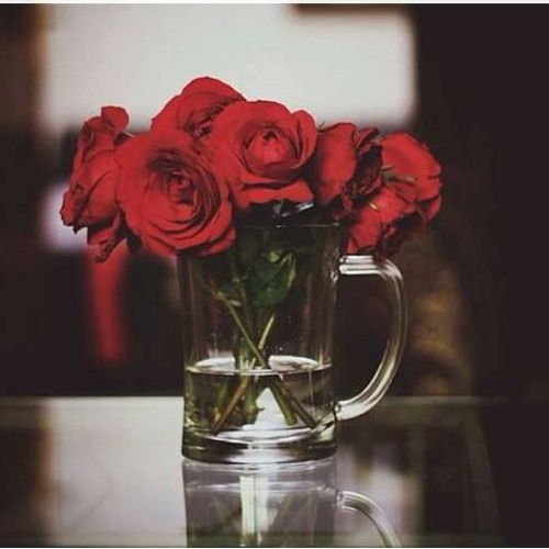 Stream AyA HeLaL music | Listen to songs, albums, playlists for free on ...