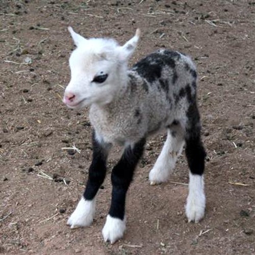 Stream Riley Perreault music | Listen to songs, albums, playlists for ...