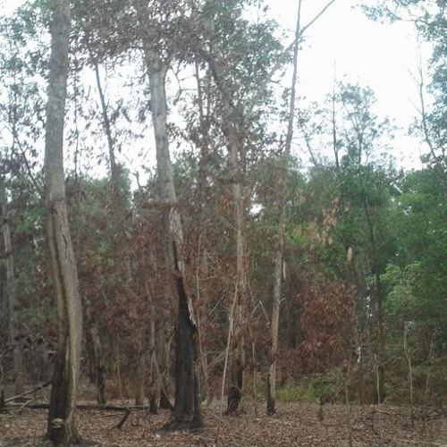 Stream Martyn Lee music | Listen to songs, albums, playlists for free ...