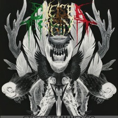 Chelsea Grin Albums