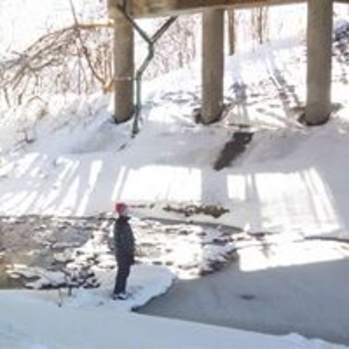 Stream Braden Rice music | Listen to songs, albums, playlists for free ...