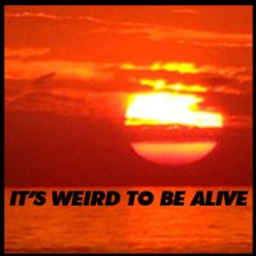 Stream It's Weird To Be Alive music | Listen to songs, albums ...