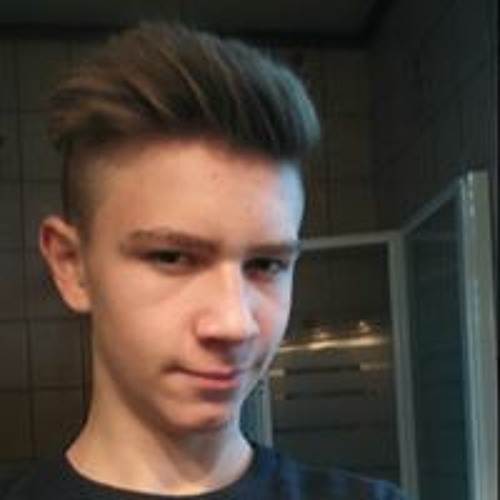 Stream Maarten Segers music | Listen to songs, albums, playlists for ...