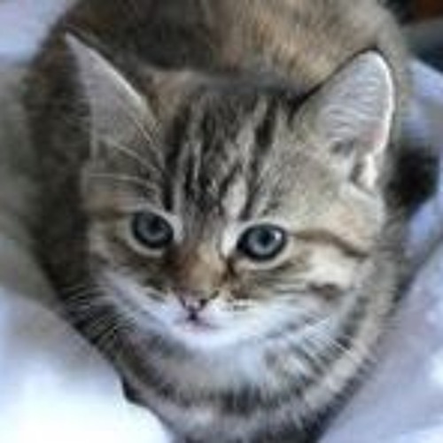 Stream Courtney Weeks music | Listen to songs, albums, playlists for ...