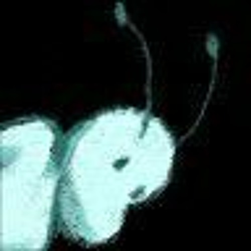 Stream Hhhhh at Vvv by testaccntbasic | Listen online for free on ...