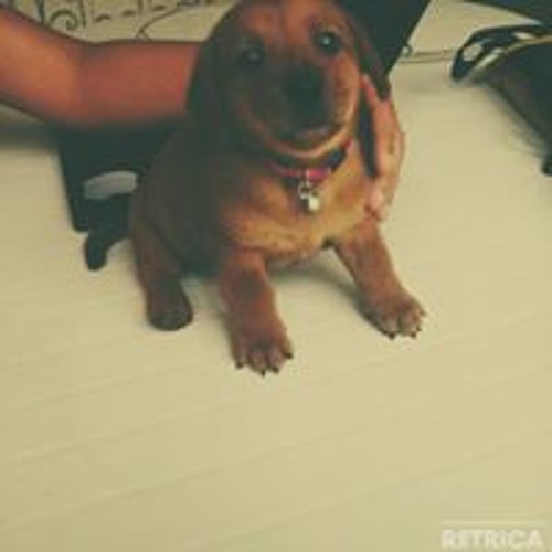 Stream roger music | Listen to songs, albums, playlists for free on ...